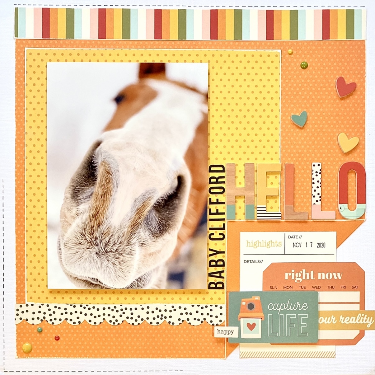 Facebook LIVE - Layout 35 - Jennifer Edwardson Creative